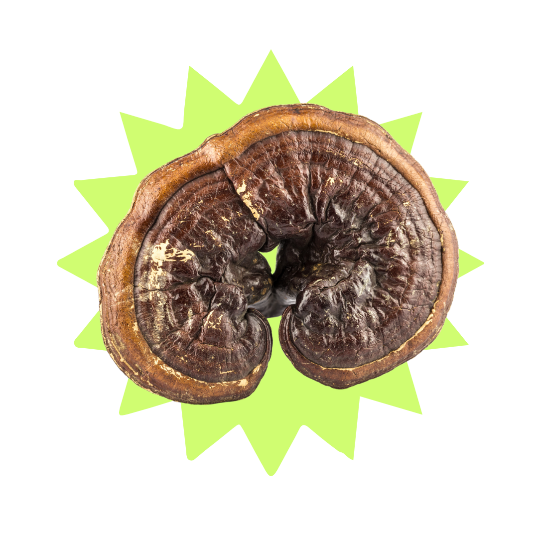 Wonder Coffee – Pow